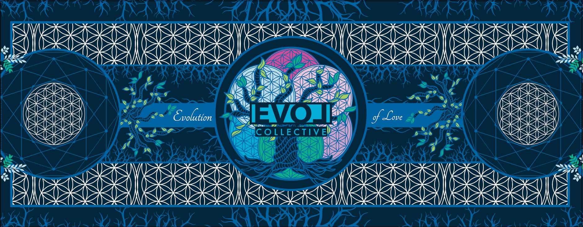 Pashminas – EVOL Chicago